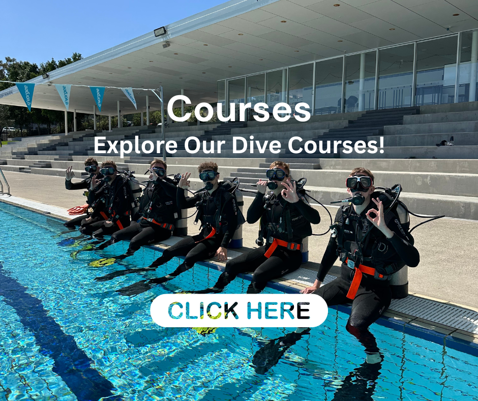 Gold Coast Dive Centre & Marine Training College